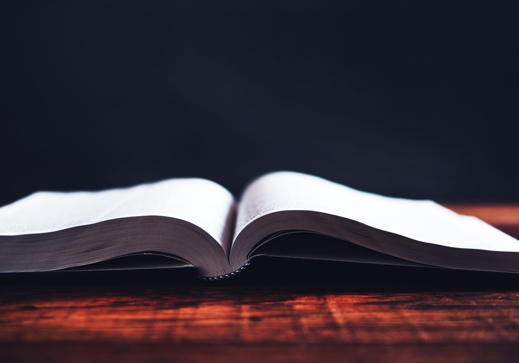 Verse of the Day | Bible Verse Today | Bible Verse of the Day