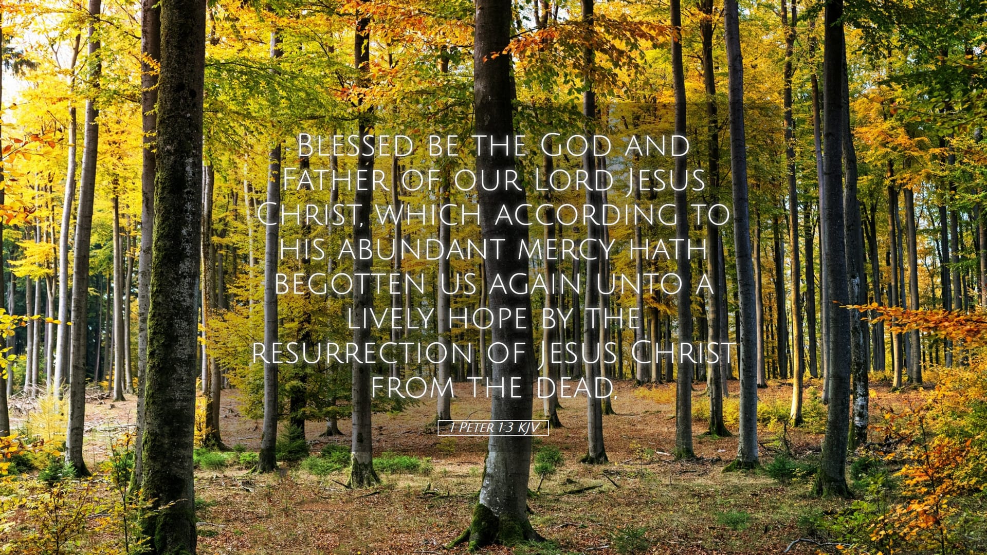 1 Peter 1:3 | Verse of the Day