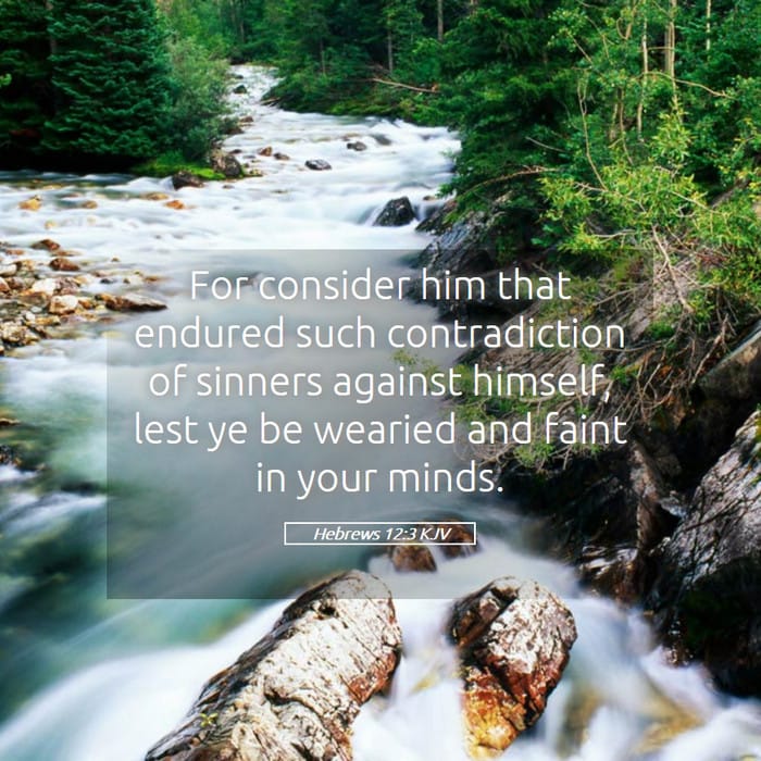 Hebrews 12:3 | Verse of the Day